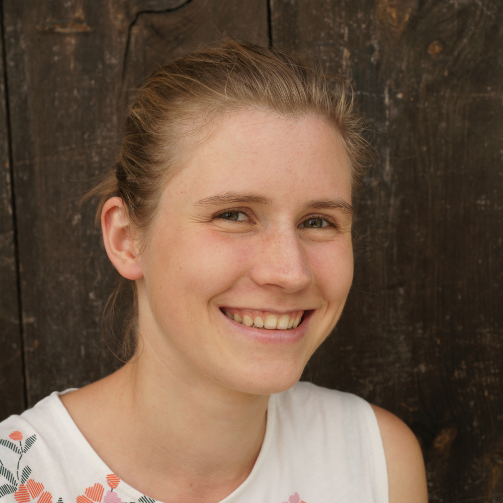 Home - Schweizer Papierhistoriker